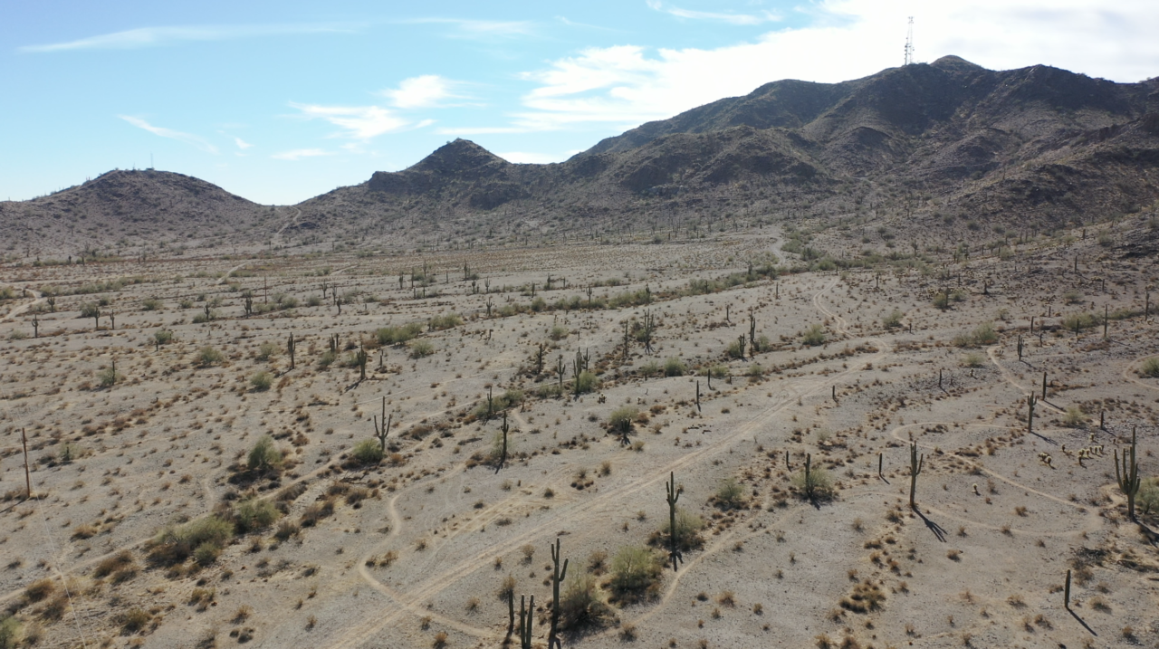 Why Pinal - Pinal Partnership